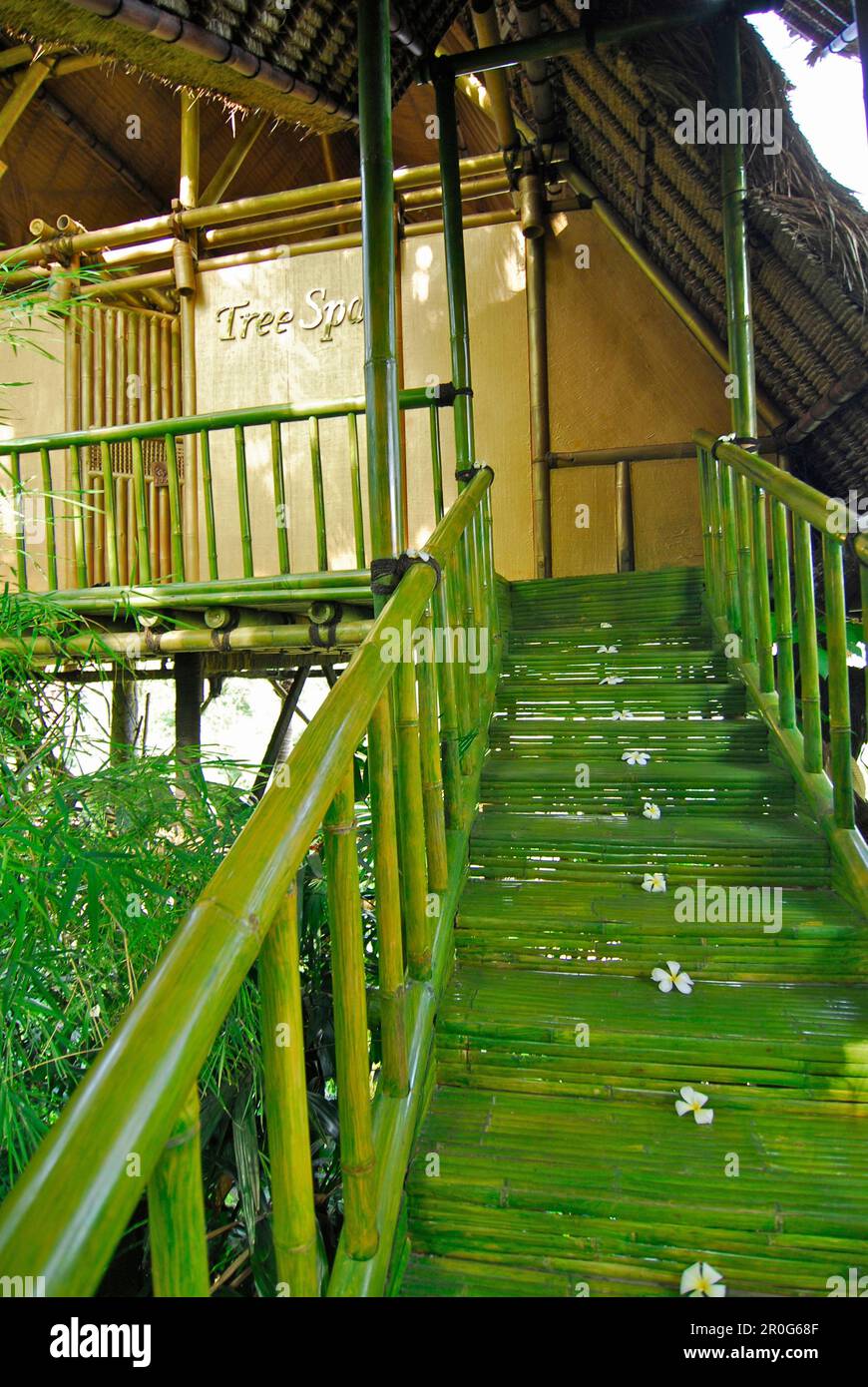Green stairs in front of the Tree Spa at Kupu Kupu Barong Resort, Ubud ...