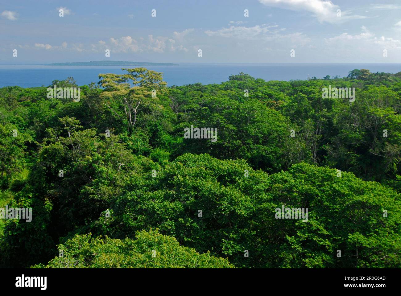 Indonesia bali symbolic wood hi-res stock photography and images - Alamy