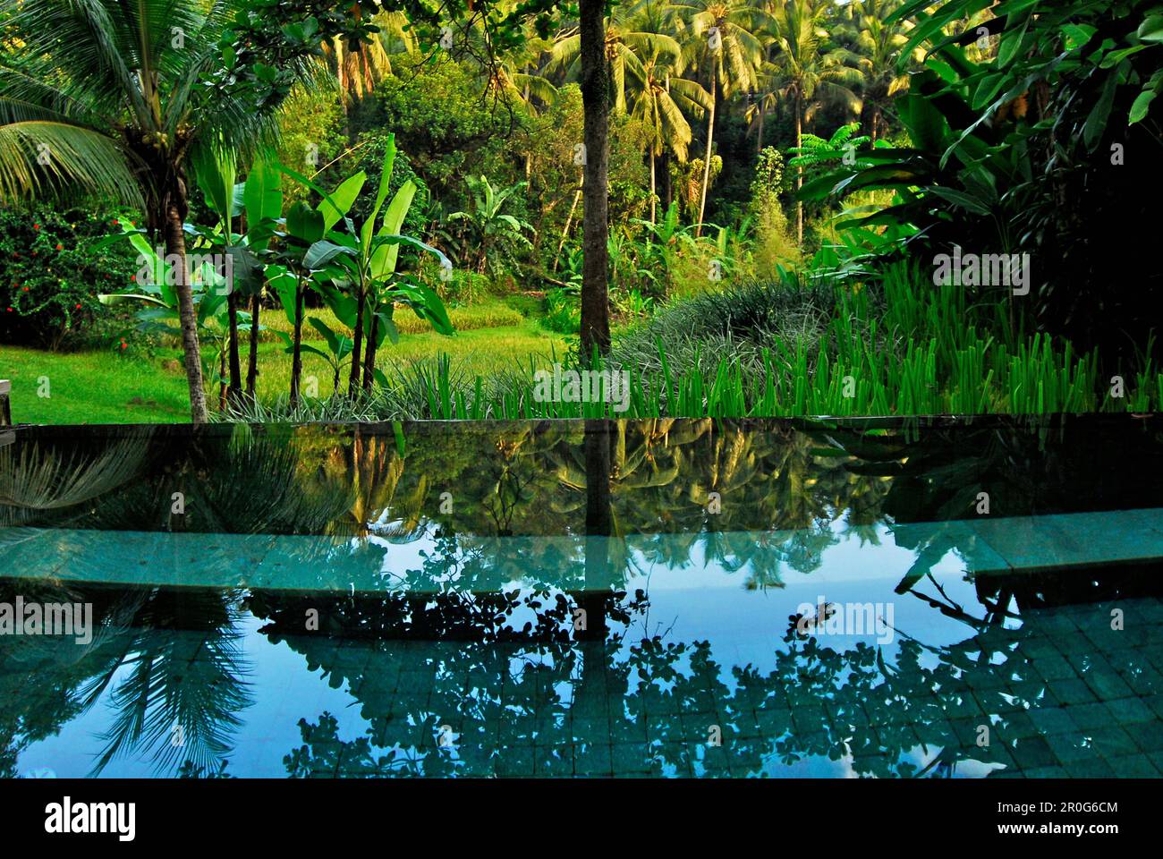 Pool at bungalow of the Hotel Four Seasons at Sayan, Ubud, Central Bali ...