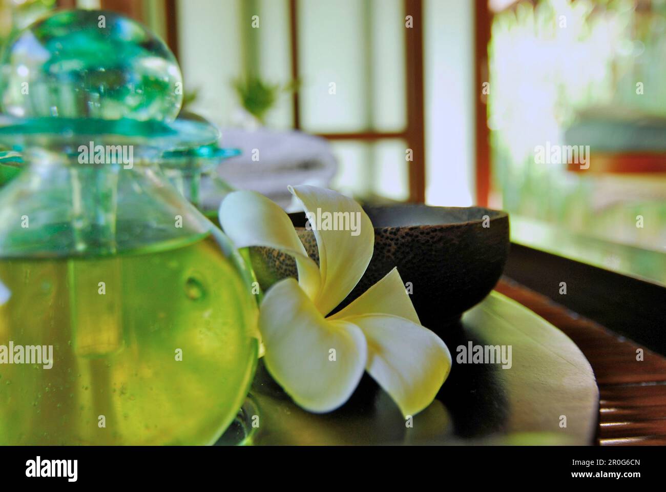 Detail of the spa at Four Seasons Hotel, Sayan, Ubud, Central Bali ...