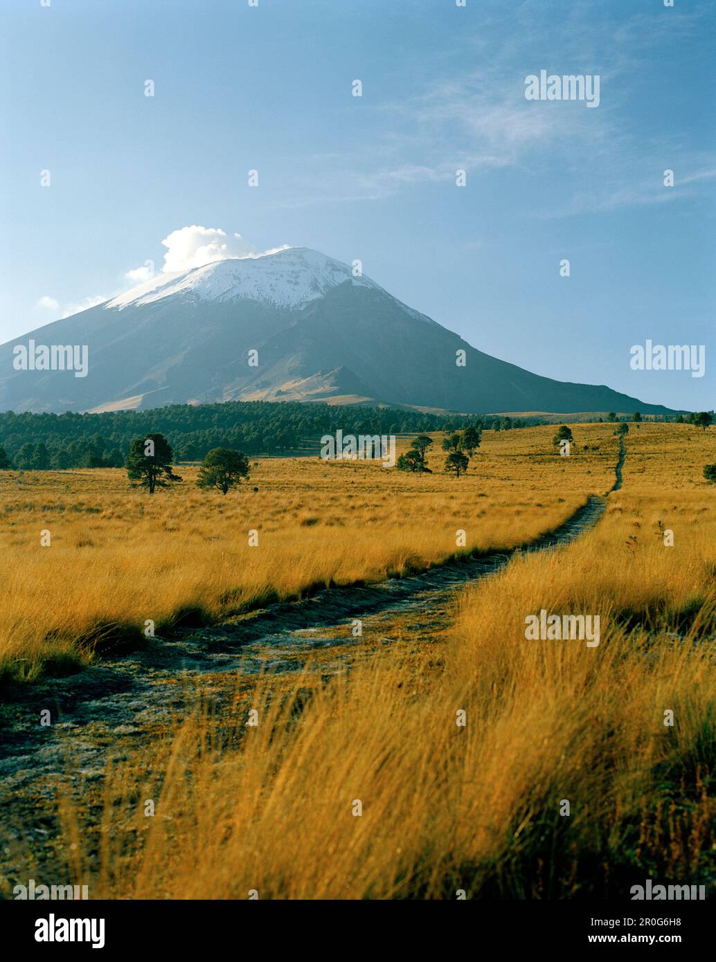 View at the active volcano Popocatepetl on the horizon, Izta Popo ...