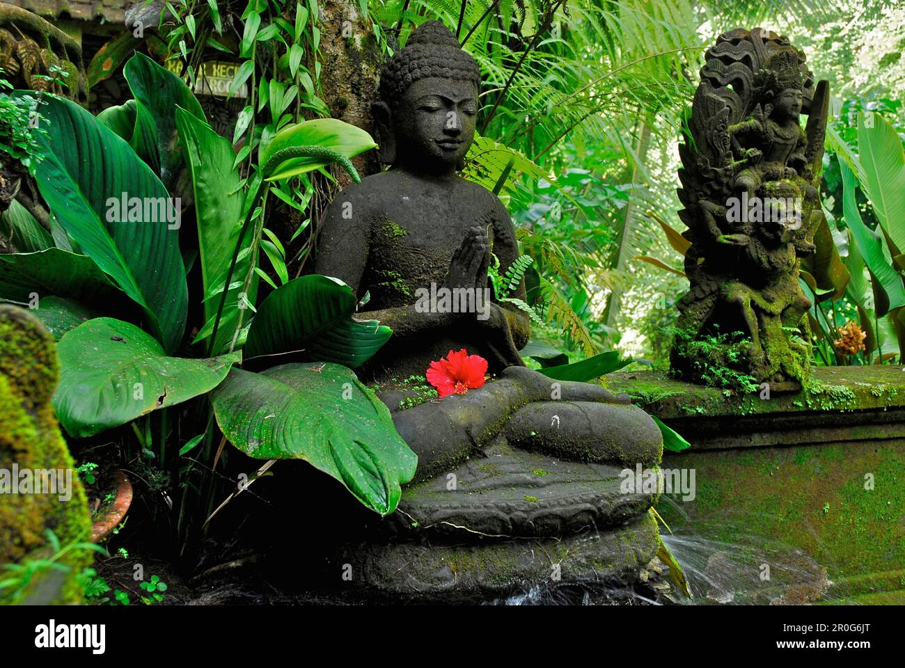 Buddha figure in front of green plants, Ubud, Bali, Indonesia, Asia ...
