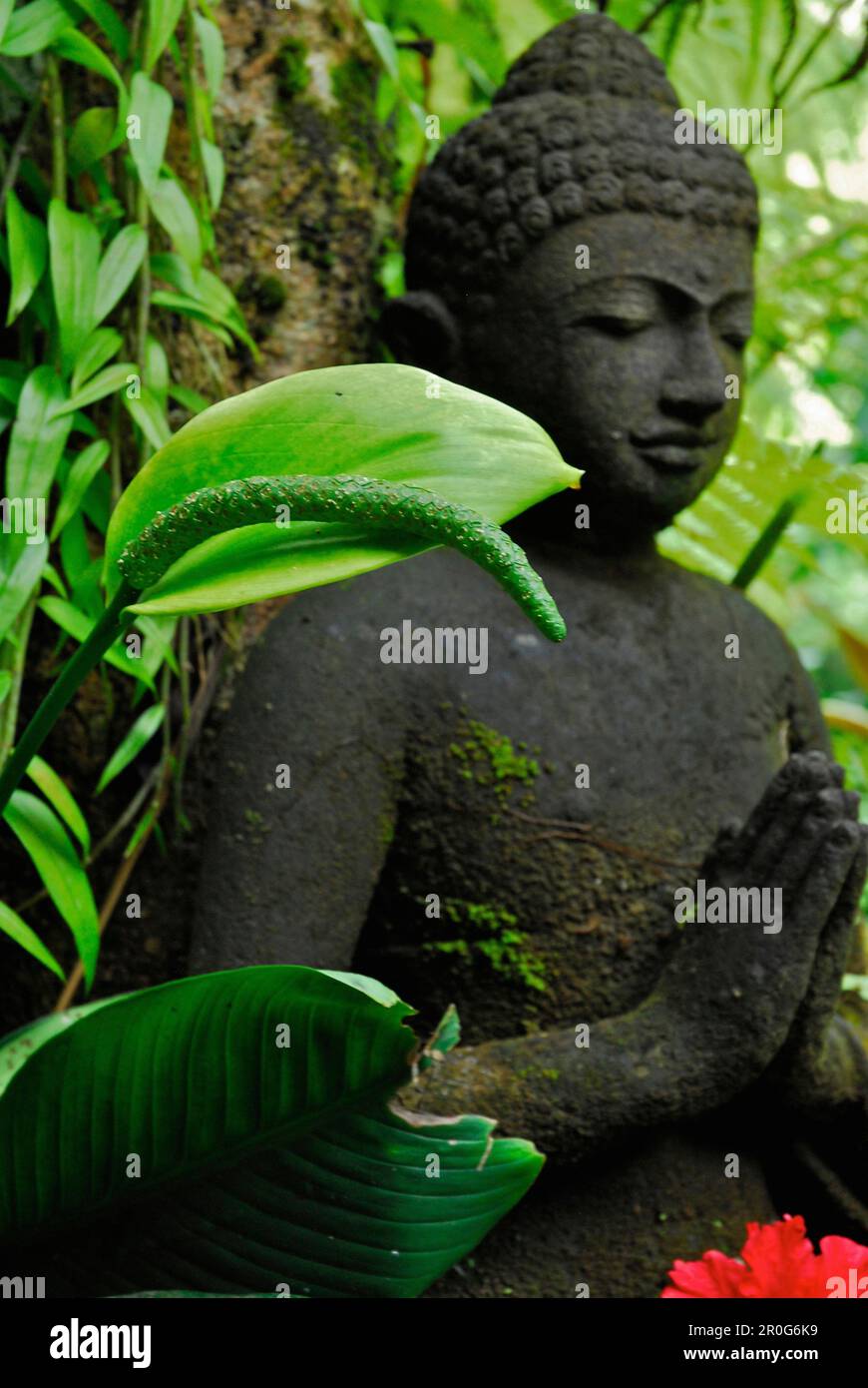 Buddha figure in front of green plants, Ubud, Bali, Indonesia, Asia ...