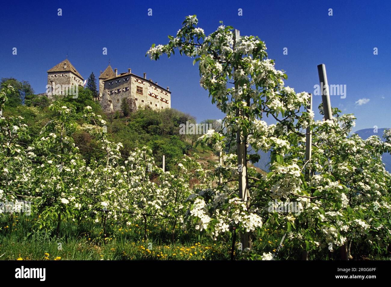 Prissian blue hi-res stock photography and images - Alamy