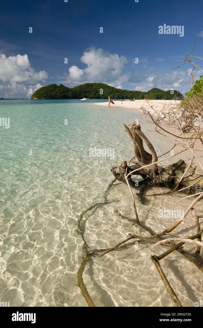 Tropical long deserted beach palm hi-res stock photography and images ...