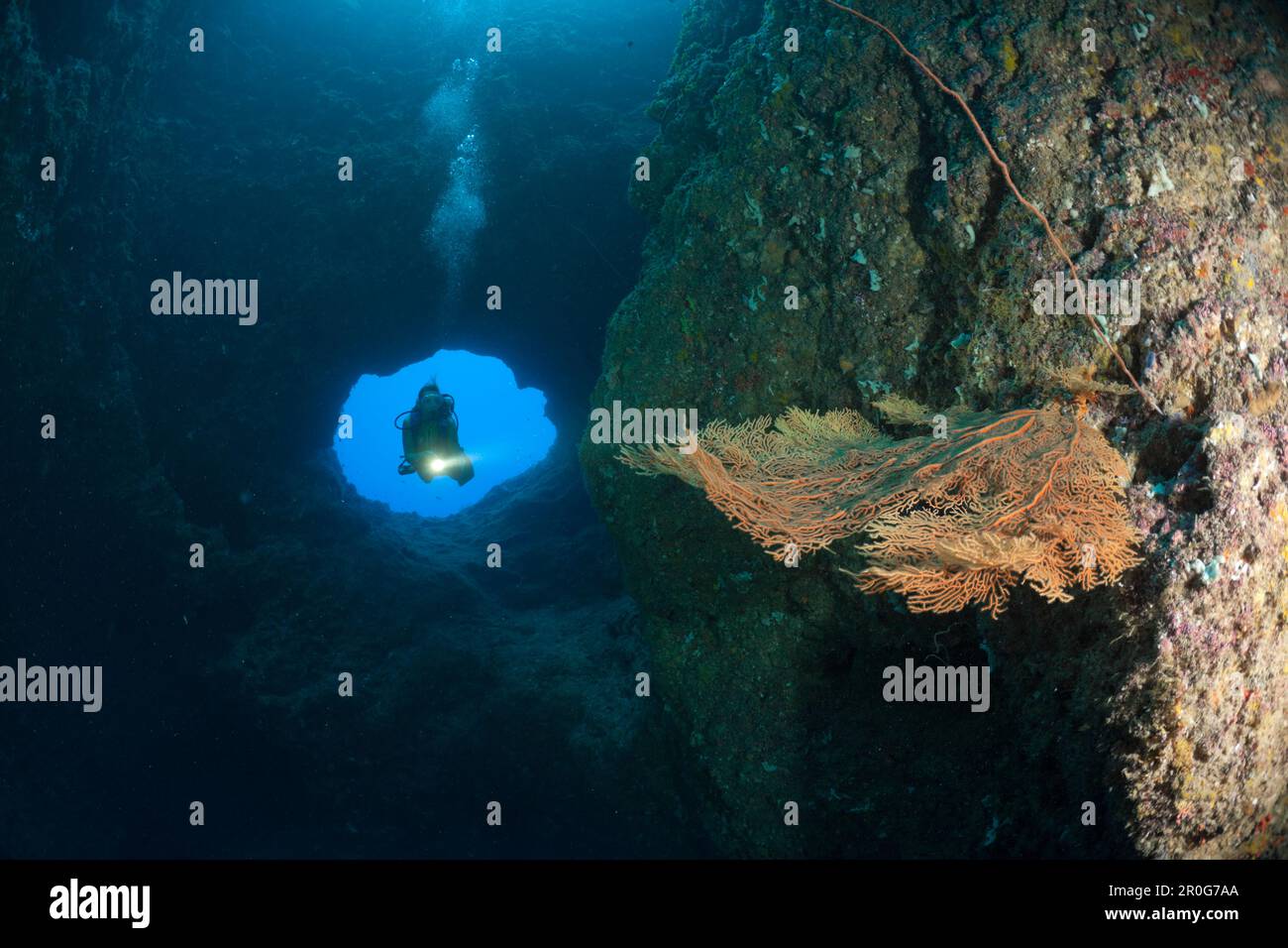Diver at upper Entrance of Blue Hole Cave, Micronesia, Palau Stock ...