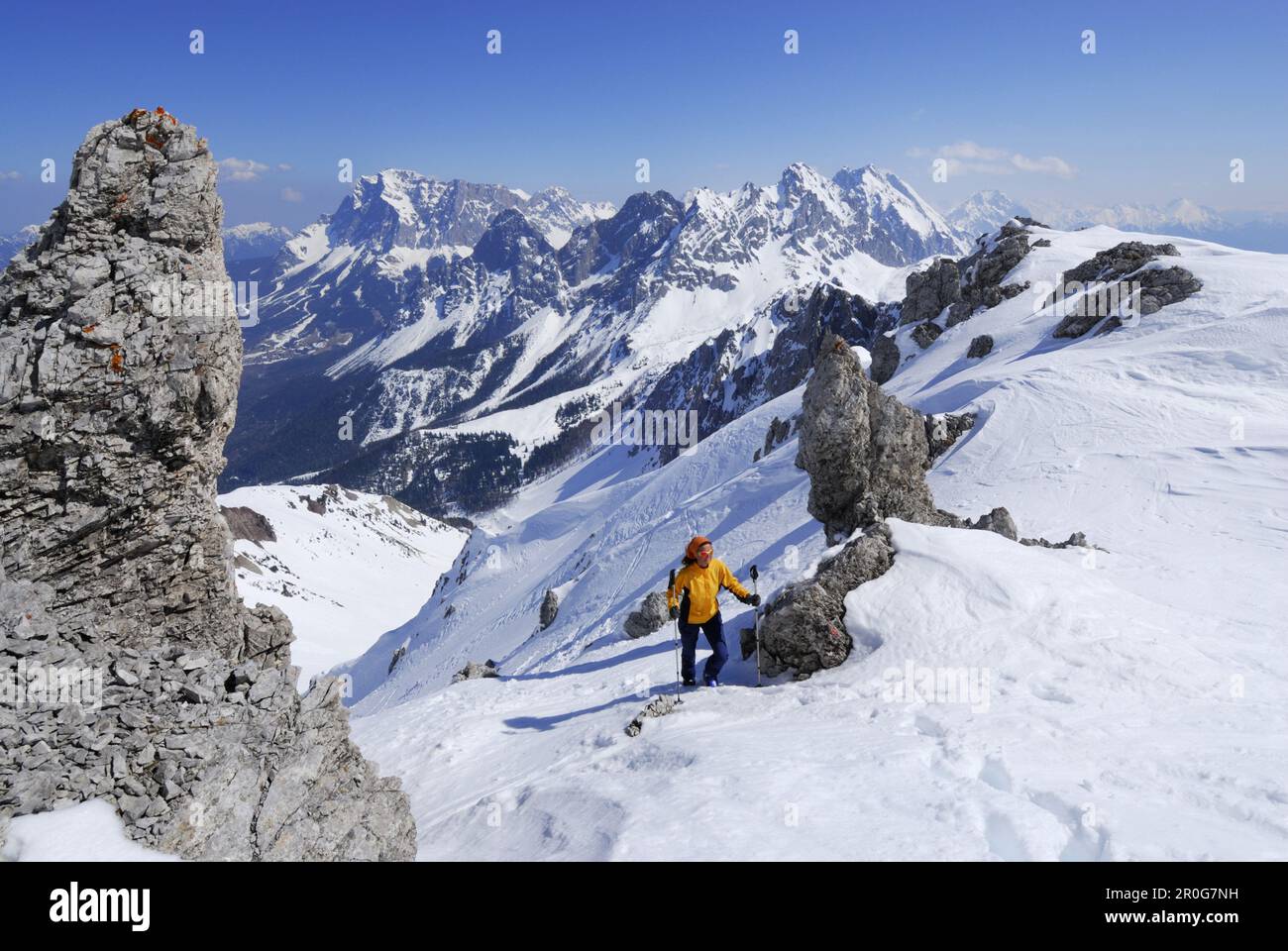 Woman backcountry skiing ascending summit of Hochwannig, Mieming range ...