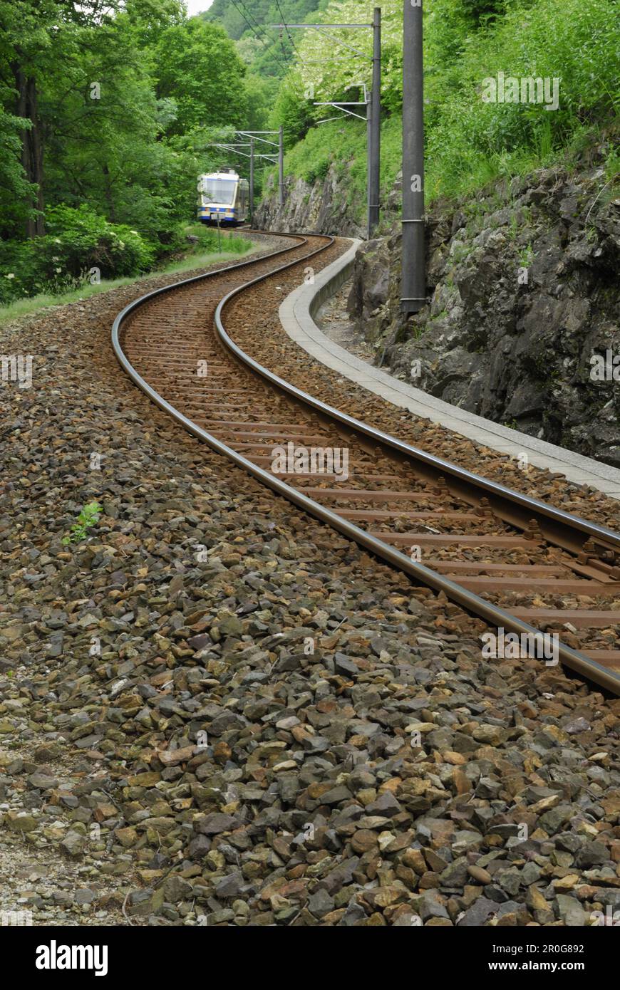 Train driving on a winding rail, narrow gauge, train through Centovalli ...