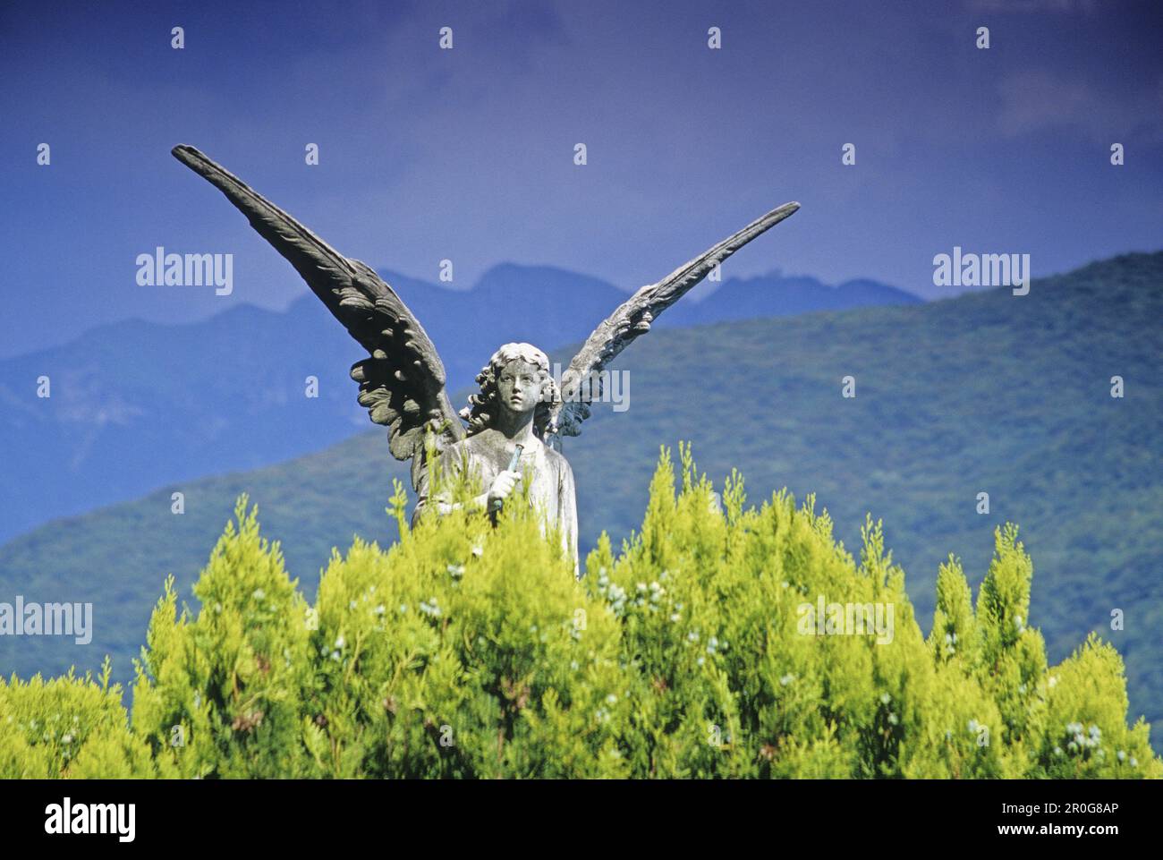 Behind the hedge hi-res stock photography and images - Alamy