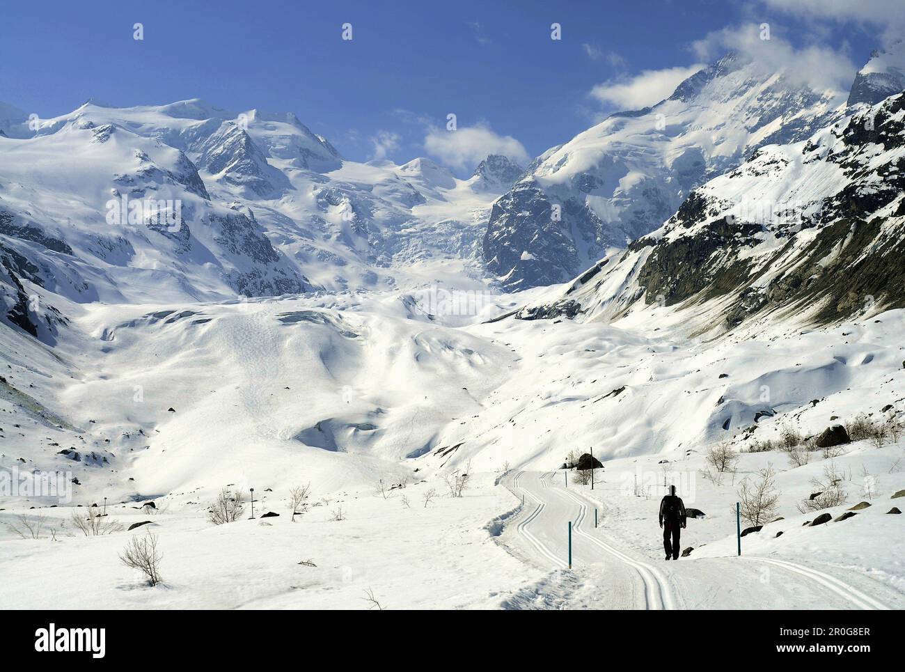 Ski tracks in snow, Morteratsch Valley, Engadin, Grisons, Switzerland ...
