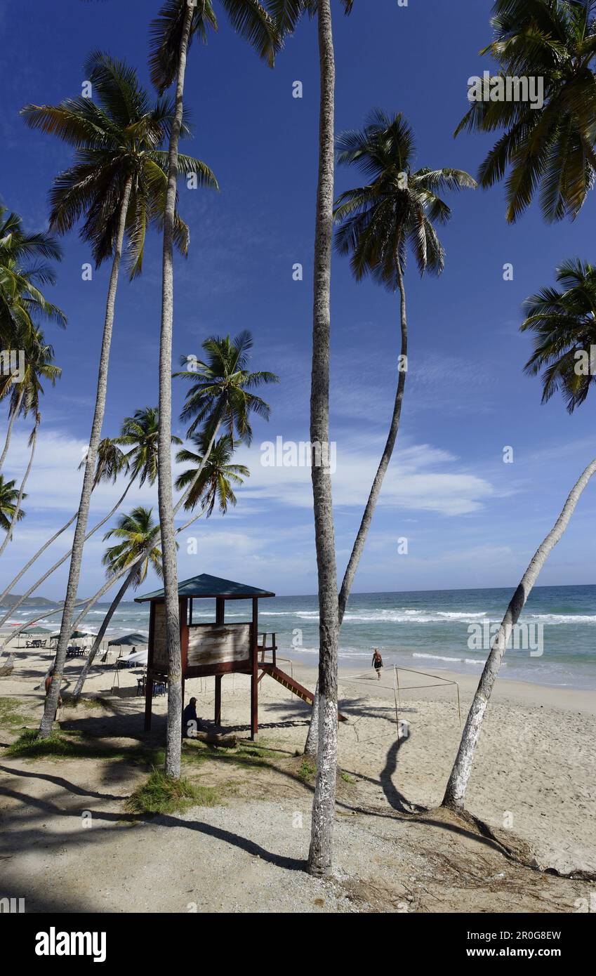 Beach bar at promenade in the evening, Juangriego, Isla Margarita ...