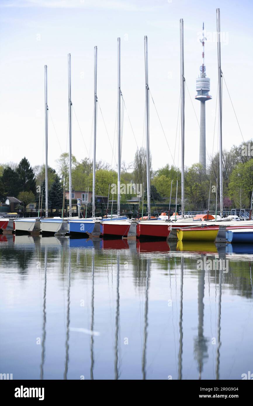 Boats moored in the harbour, Reflection of the masts in the water, Alte ...