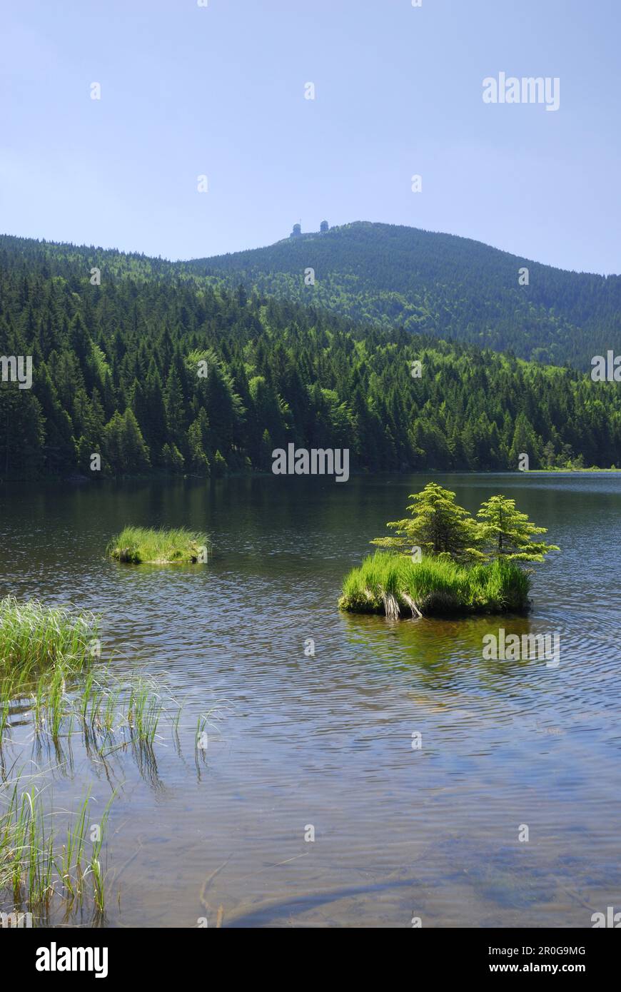 Small Arber Lake, Great Arber in background, Bavarian Forest National ...