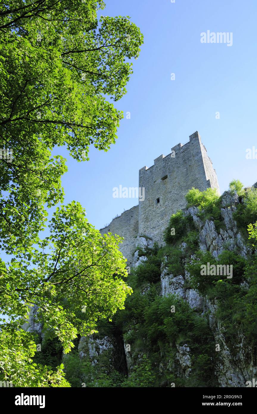 Castle ruin Weissenstein, Regen, Bavarian Forest, Lower Bavaria ...