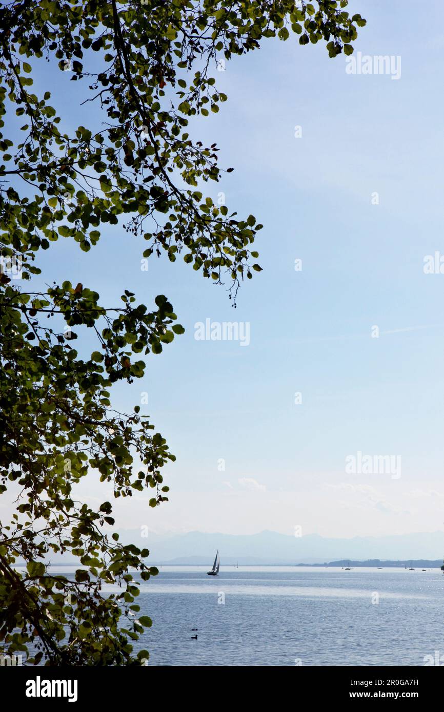 Sailboats on lake Starnberg, Possenhofen, Pocking, Bavaria, Germany ...