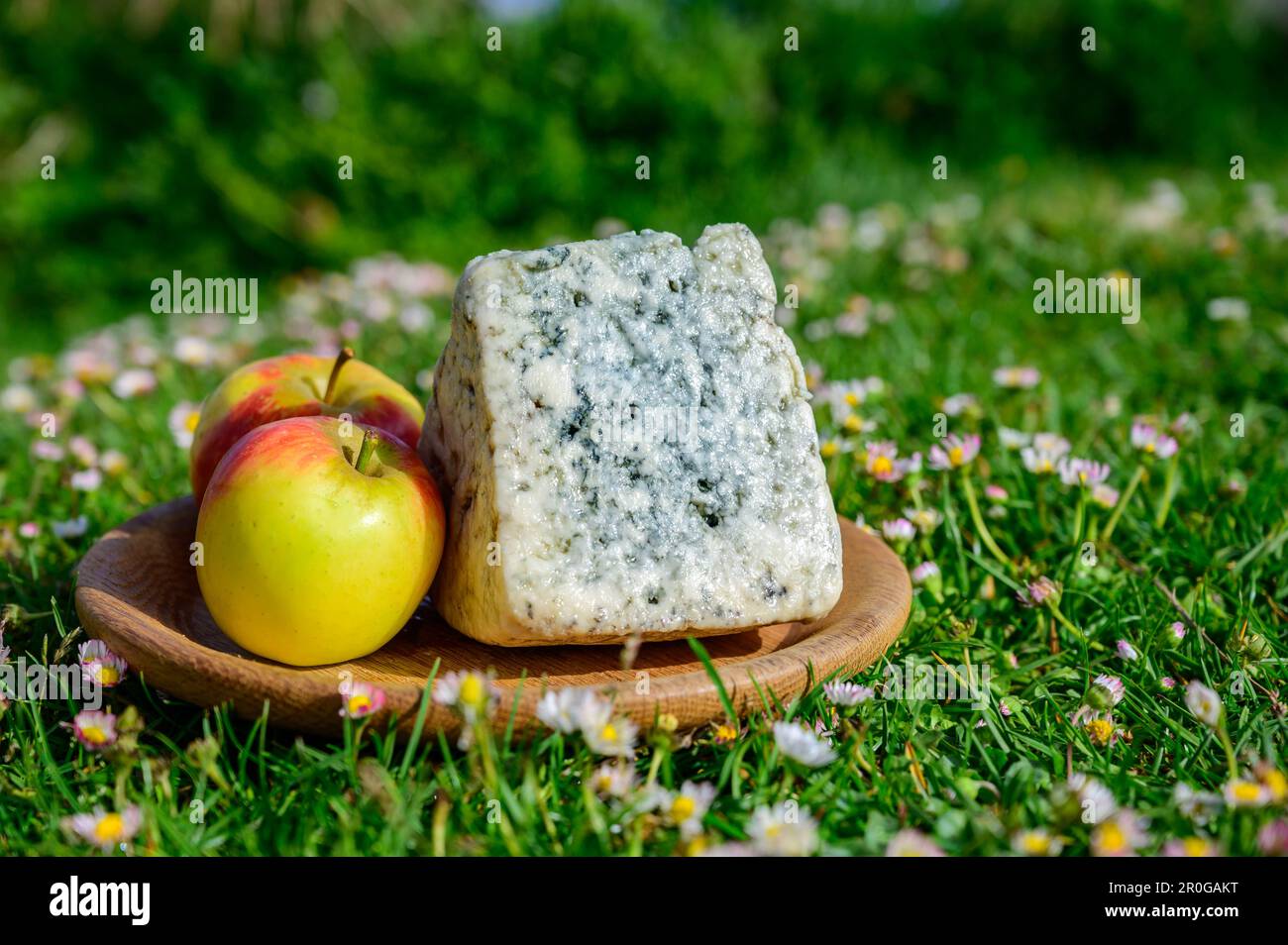 Cabrales, artisan blue cheese made by rural dairy farmers in Asturias ...