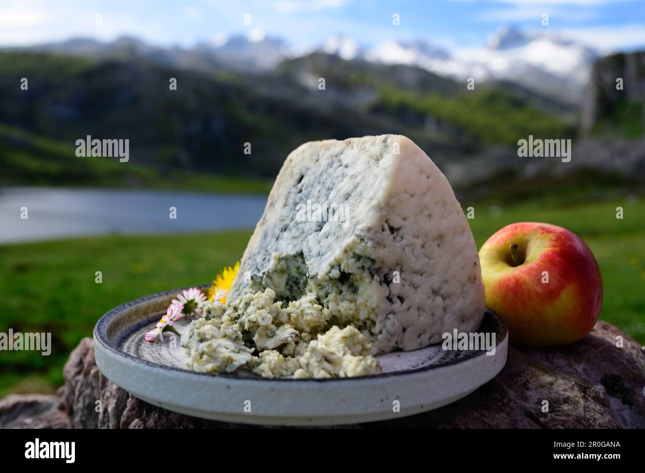 Cabrales, artisan blue cheese made by rural dairy farmers in Asturias ...