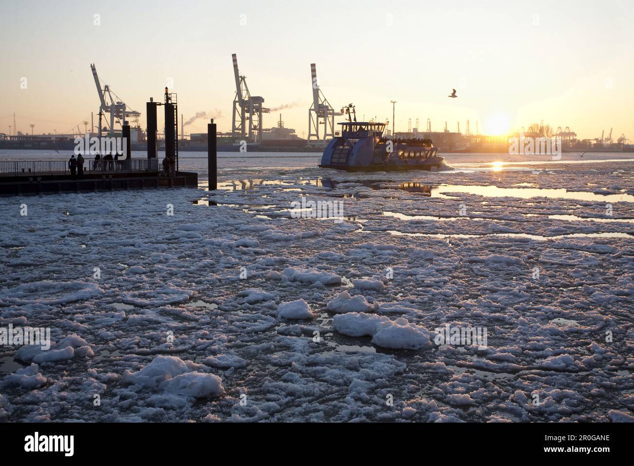 Frozen river Elbe in sunset, Hamburg, Germany Stock Photo - Alamy