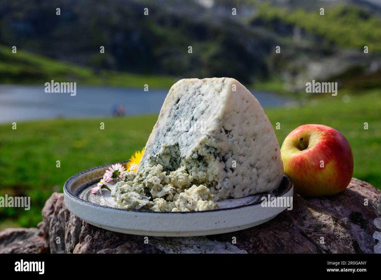 Cabrales, artisan blue cheese made by rural dairy farmers in Asturias ...