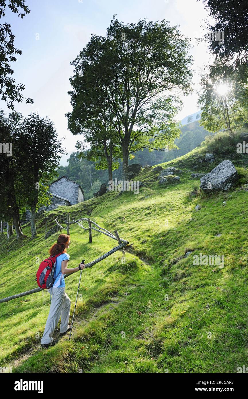 Woman mountain hiking, alpine hut in background, Monti Lariani, Lake ...
