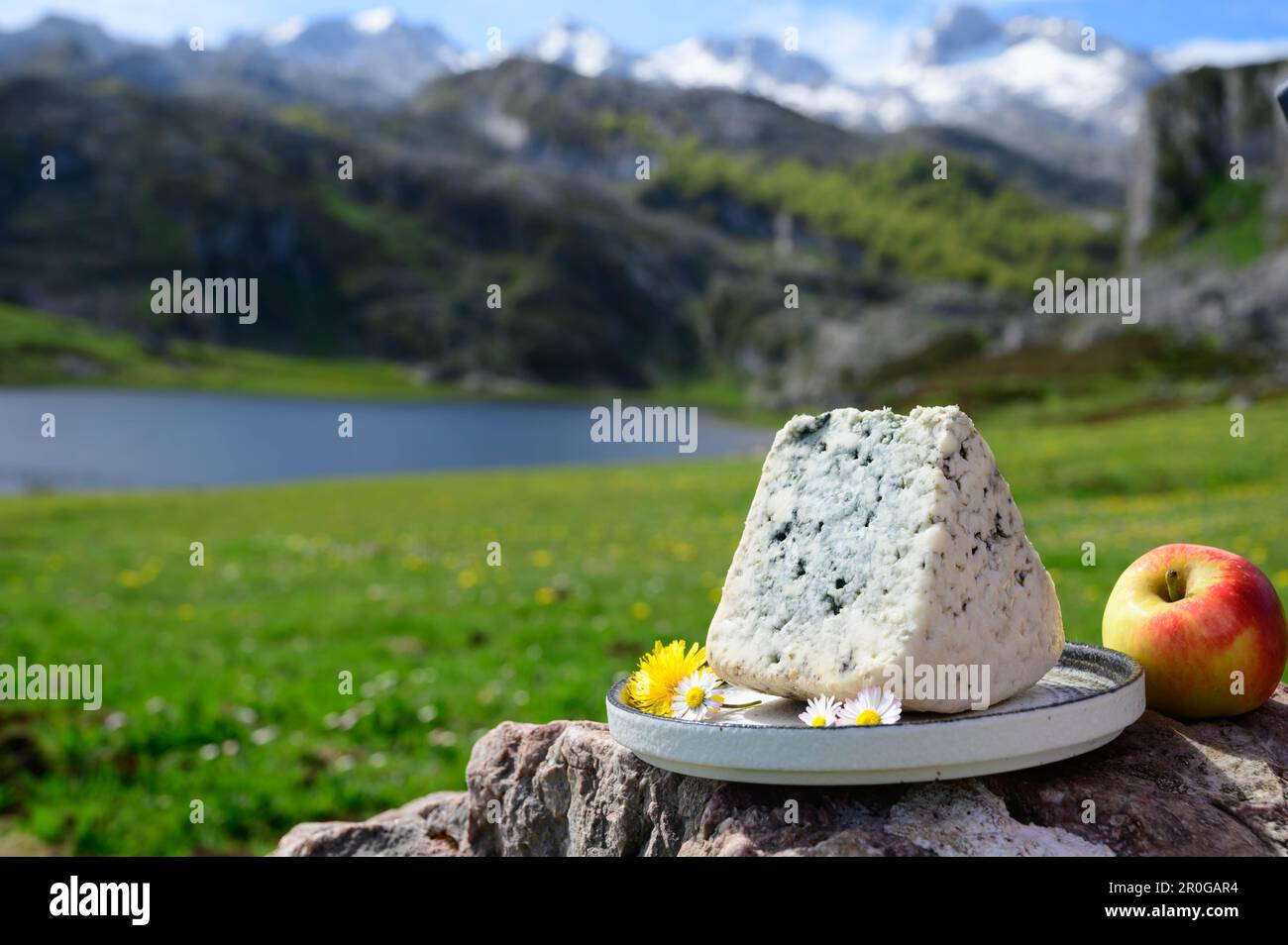 Cabrales, artisan blue cheese made by rural dairy farmers in Asturias ...