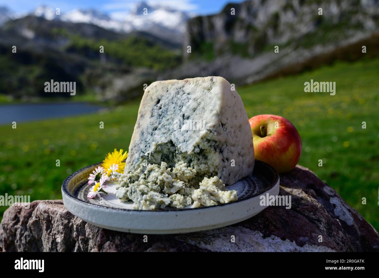 Cabrales, artisan blue cheese made by rural dairy farmers in Asturias ...
