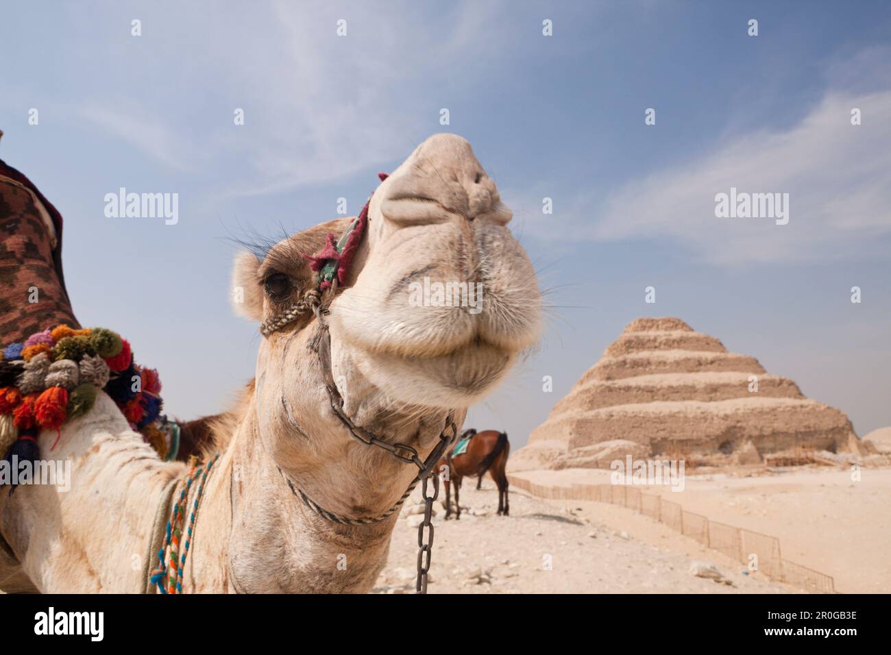 Saqqara Step Pyramid of Pharaoh Djoser, Egypt, Saqqara Stock Photo - Alamy