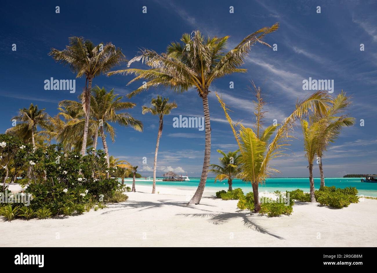 Beach of Maldive Island Kandooma, Maldives, South Male Atoll Stock ...