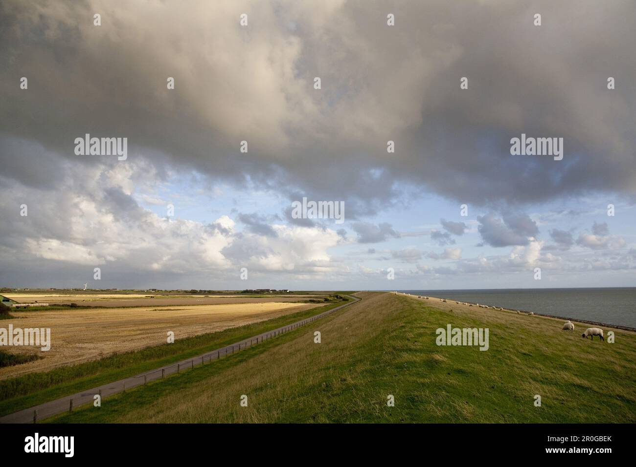 View along a dike, Alte Kirche, Pellworm island, Schleswig-Holstein ...