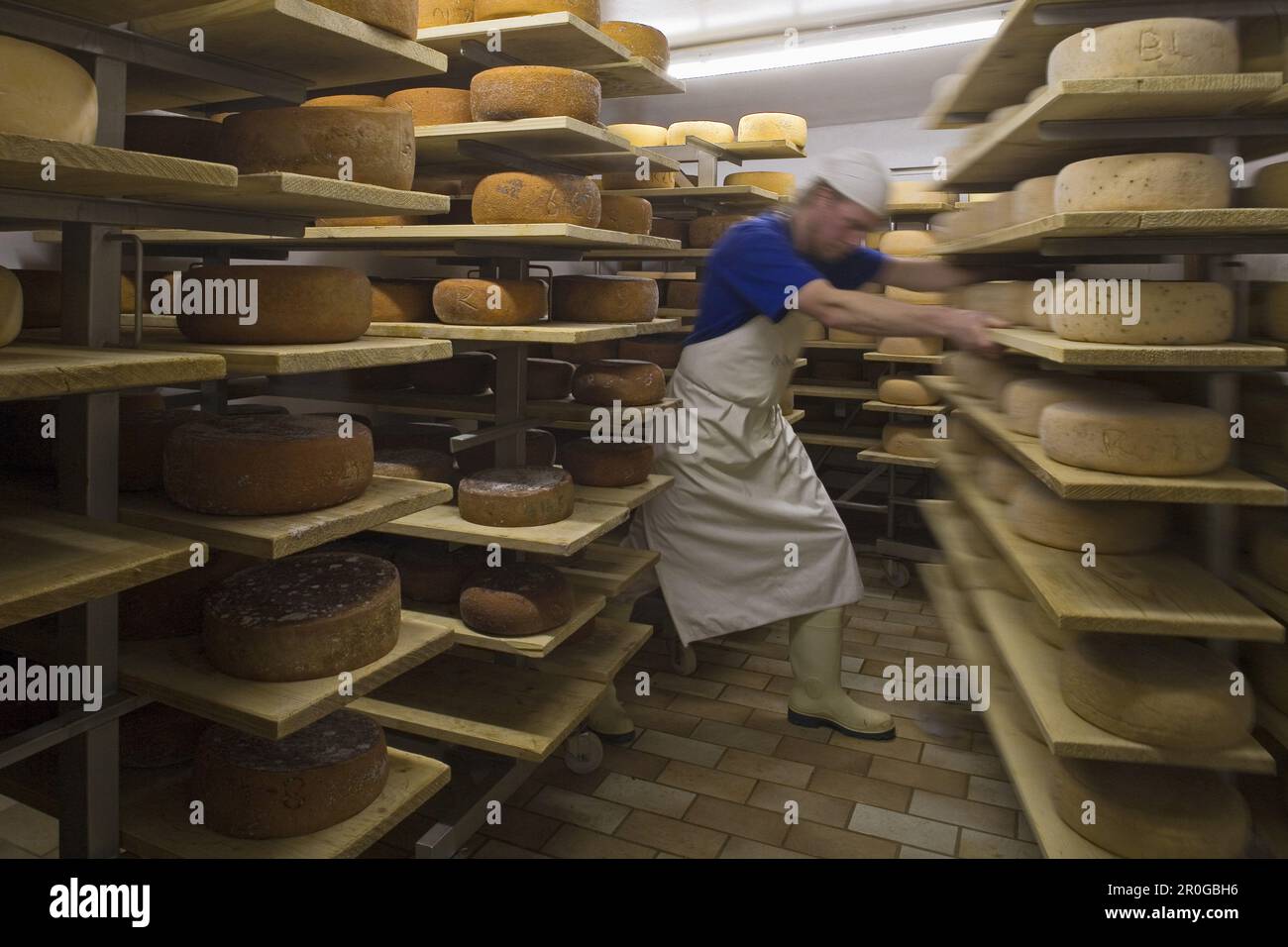Cheese dairy, Adolphshof manor, Haemelerwald, Lower Saxony, Germany ...