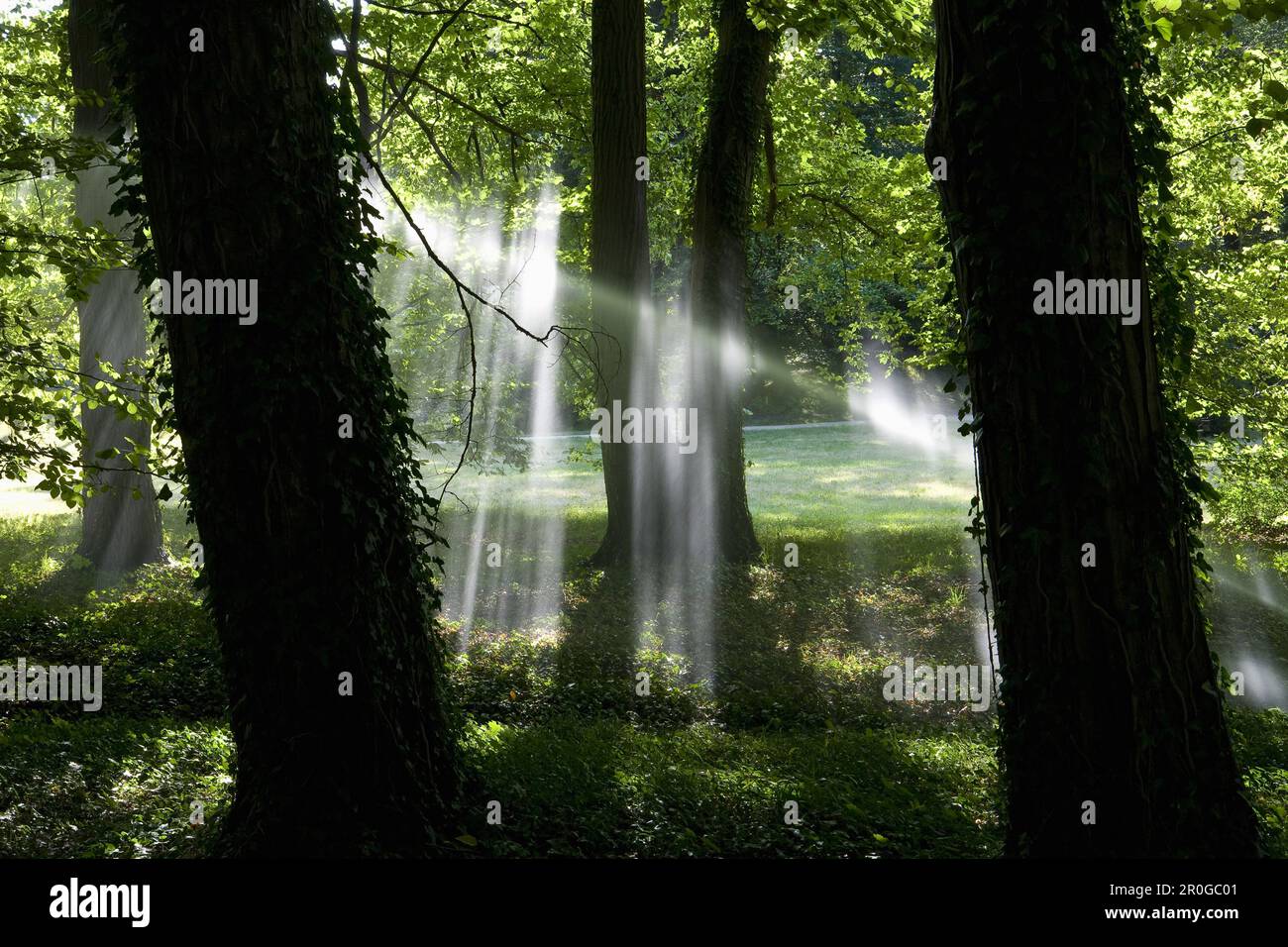 In the grounds of Branitz castle, Fürst Pückler Park near Cottbus ...