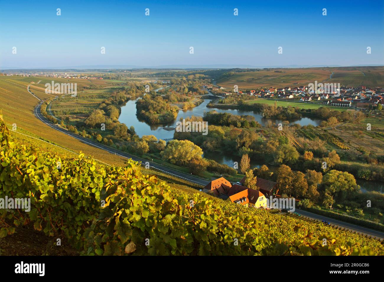 View over vineyards to Nordheim, Franconia, Bavaria, Germany Stock ...