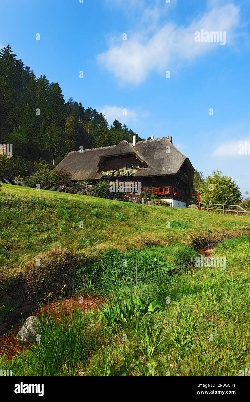 Farm in the Black Forest, Kirnbach Valley, Wolfach, Baden-Wurttemberg ...