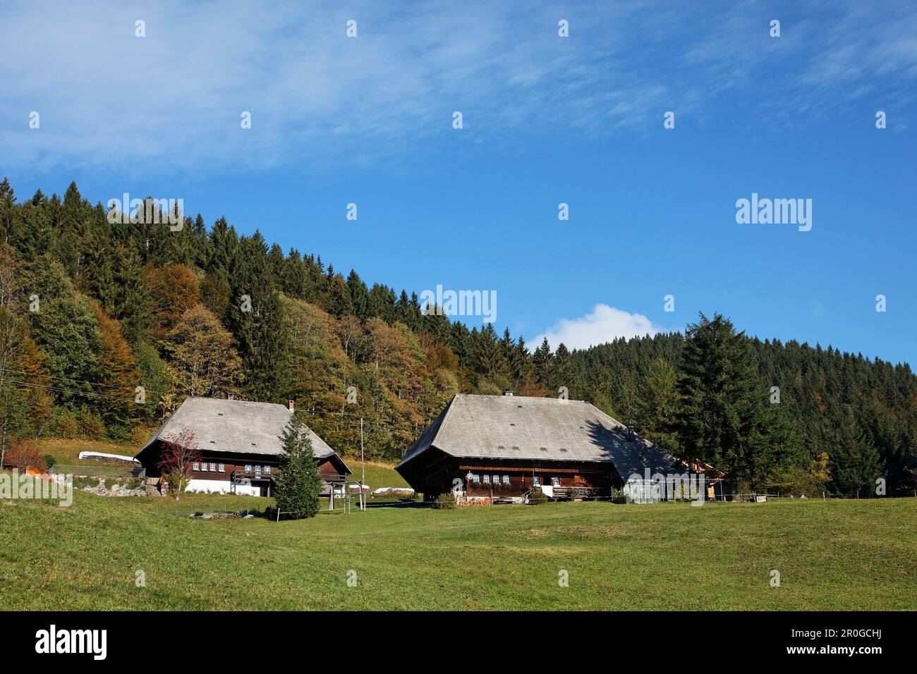 Black forest farm near Feldberg, Baden-Wurttemberg, Germany Stock Photo ...