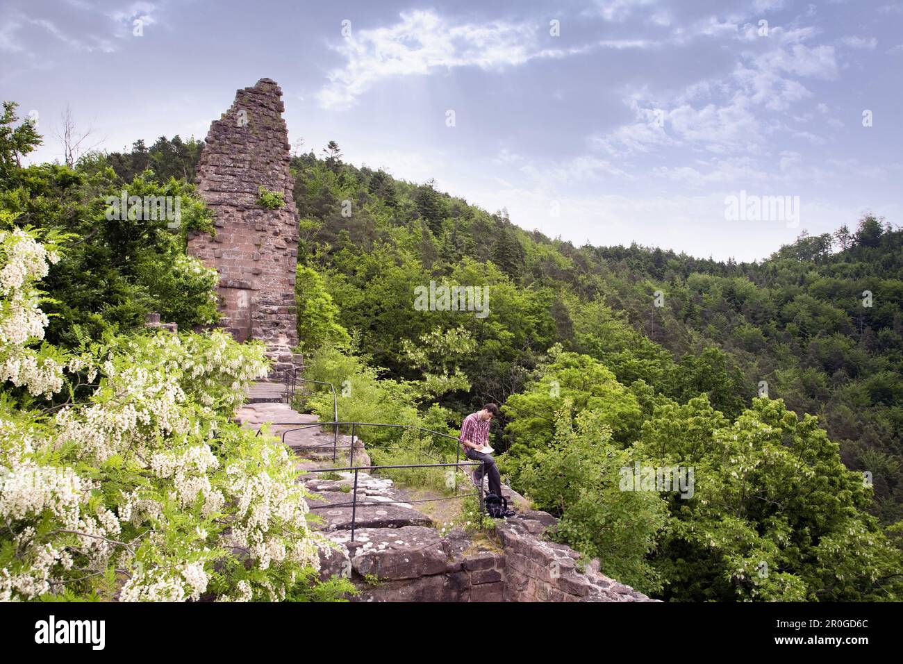 Chateau du wasigenstein hi-res stock photography and images - Alamy