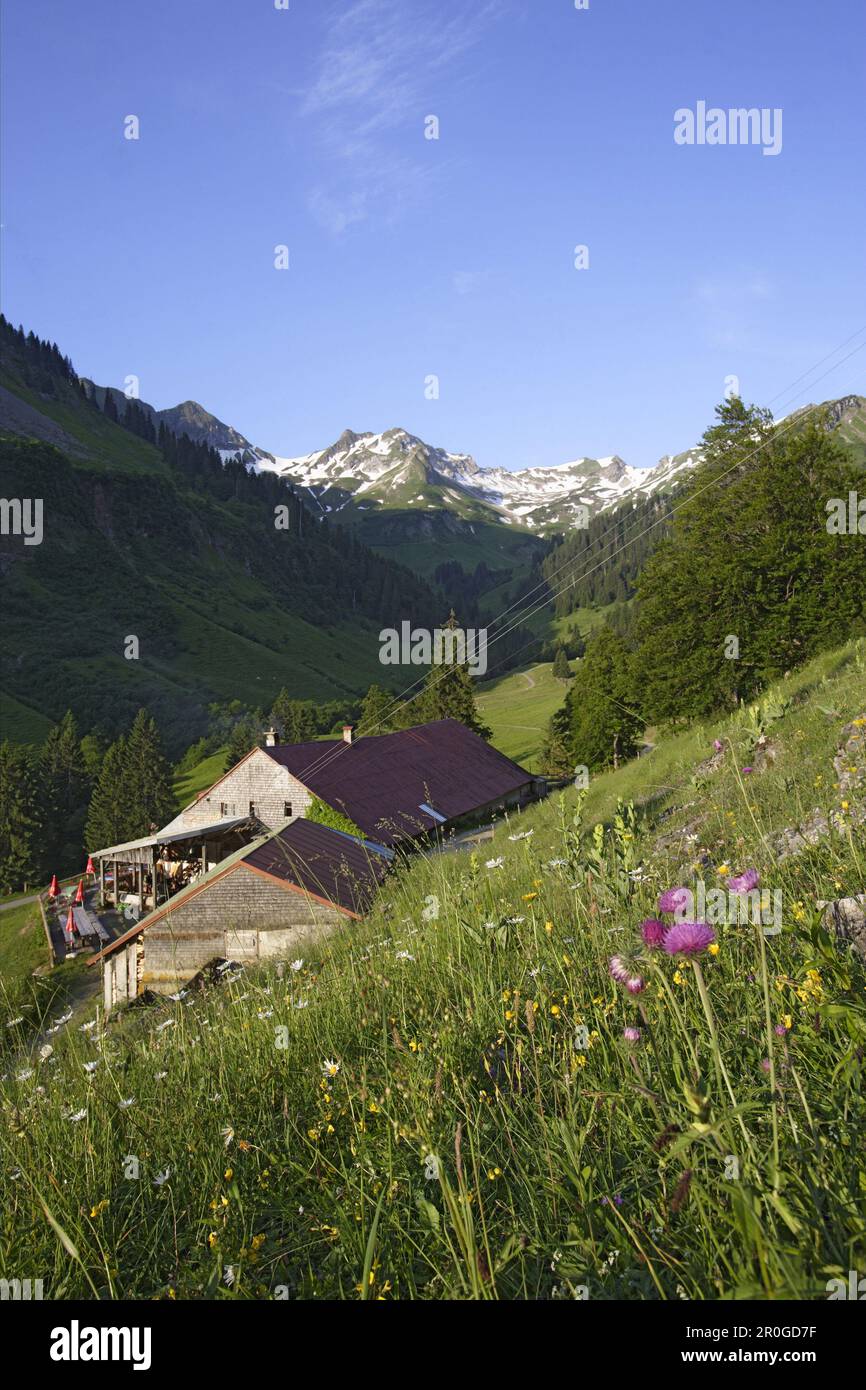 The courtyard dairy hi-res stock photography and images - Alamy