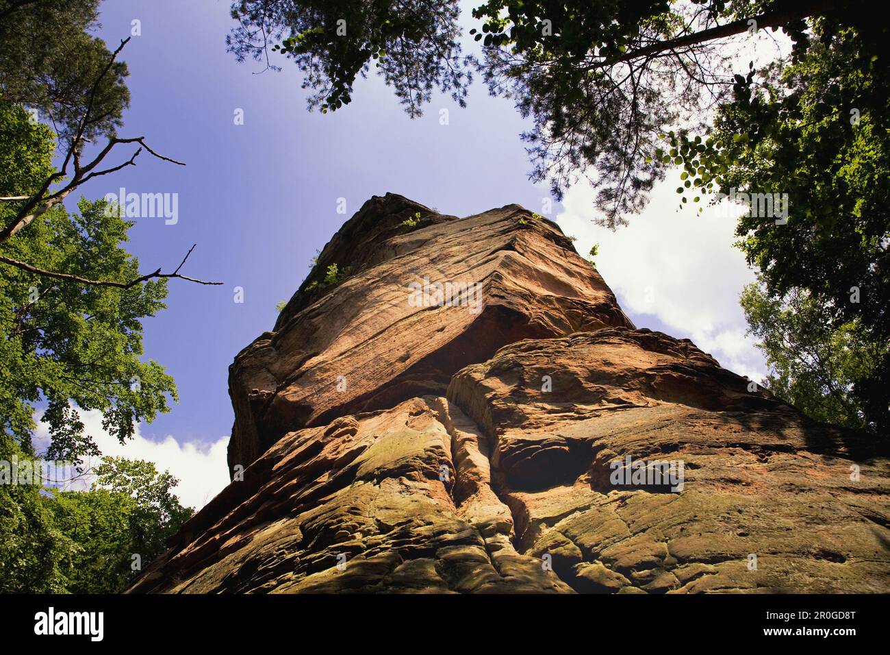 Sandstone rock, Palatine Forest, Rhineland-Palentine, Germany Stock ...