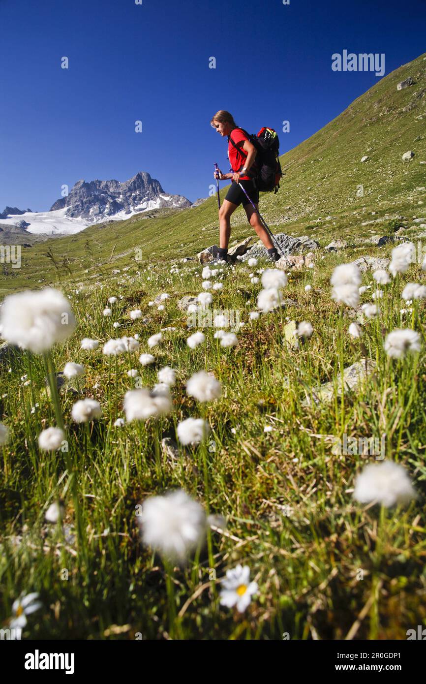 Woman hiking through valley Val dal Tschuevel, Piz Kesch in background ...