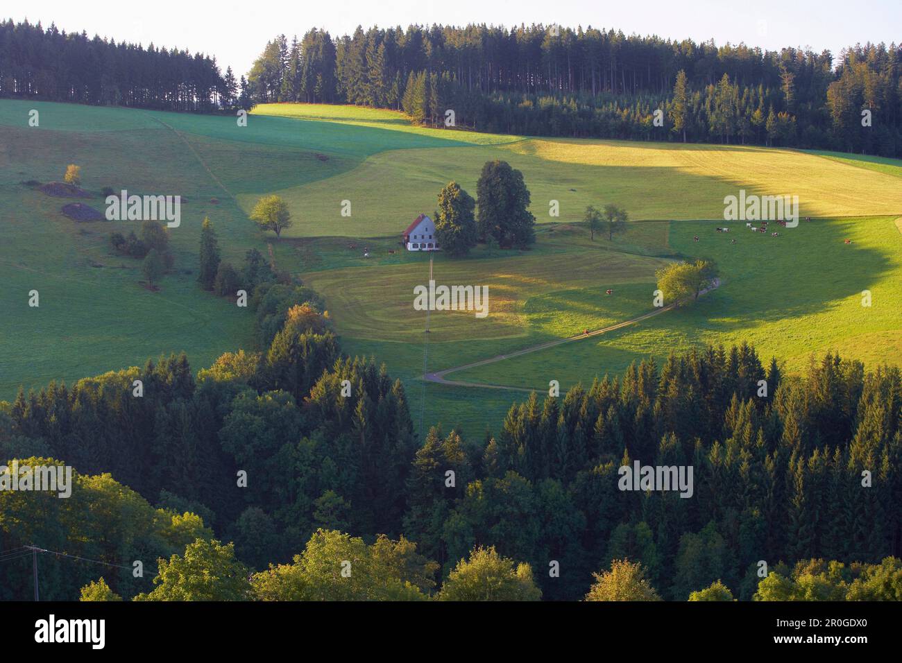 Scenery near Sankt Margen, Black Forest, Baden-Wurttemberg, Germany ...
