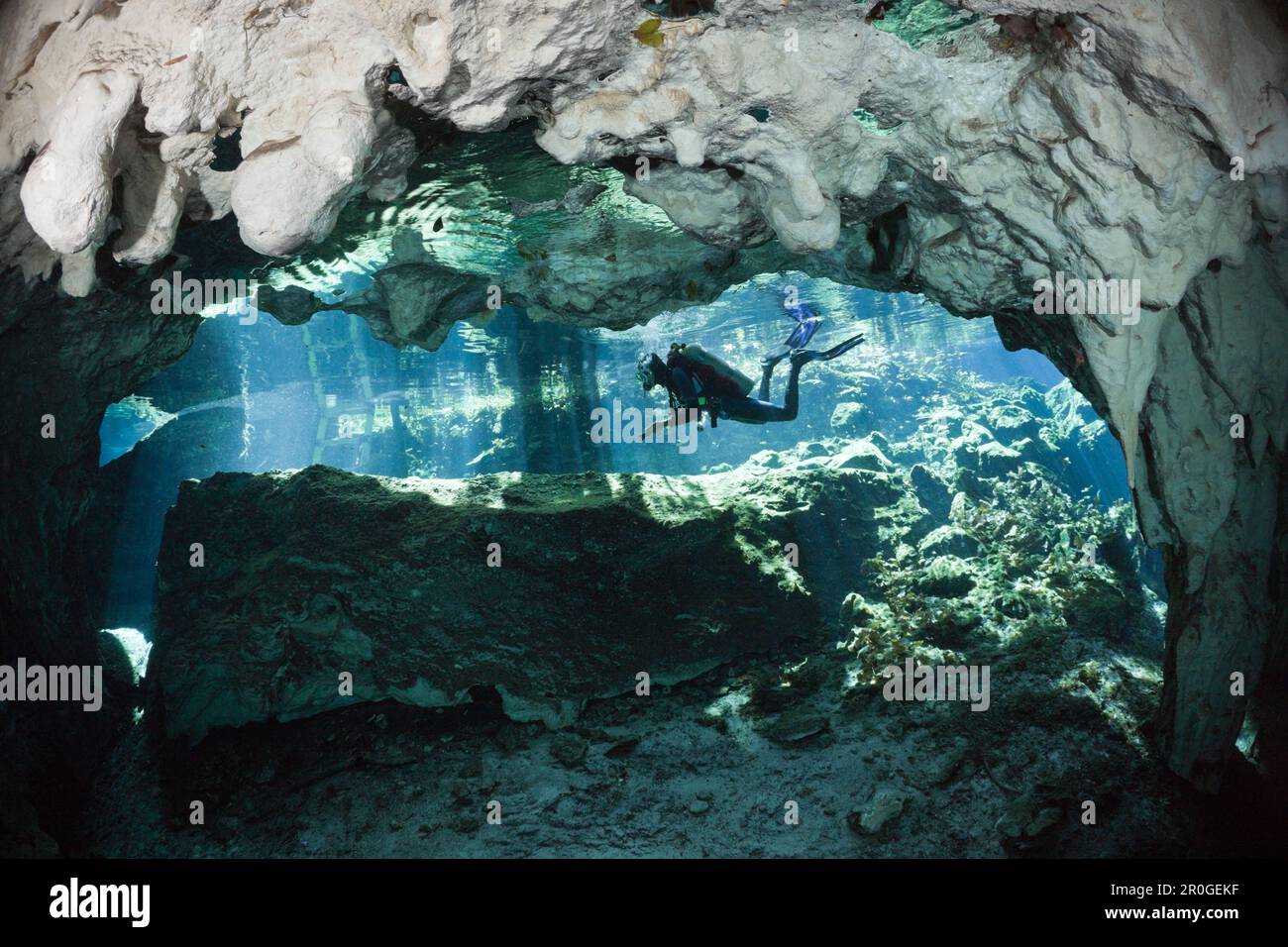 Tulum and cave diver and cenote hi-res stock photography and images - Alamy