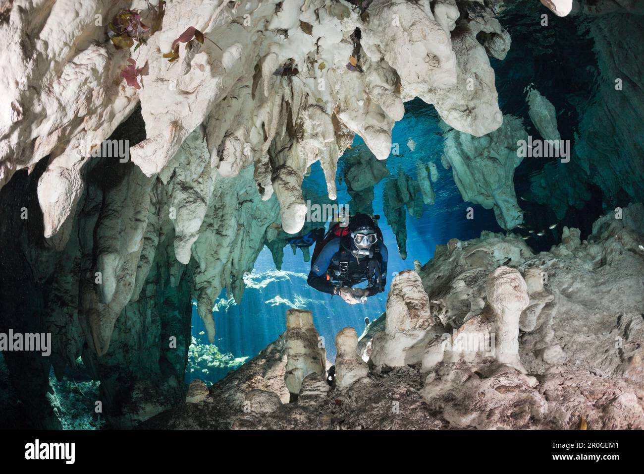 Scuba Diver in Gran Cenote, Tulum, Yucatan Peninsula, Mexico Stock Photo - Alamy