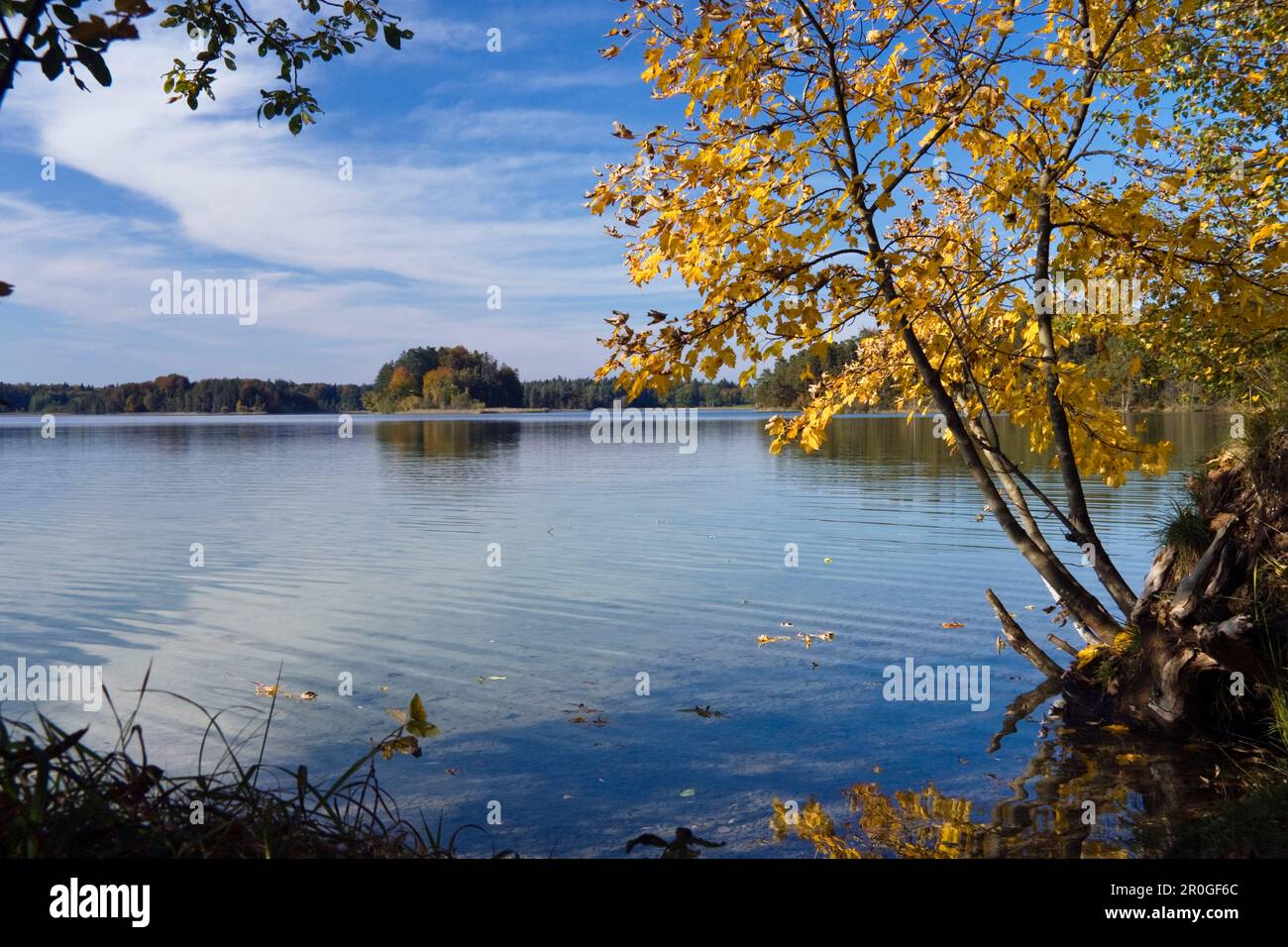 Autumn scenery, Grosser Ostersee, Upper Bavaria, Germany Stock Photo ...