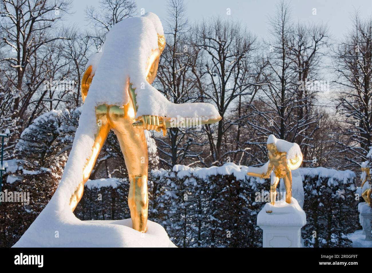 Snow-covered golden statues, hedge theatre, Herrenhausen Gardens ...