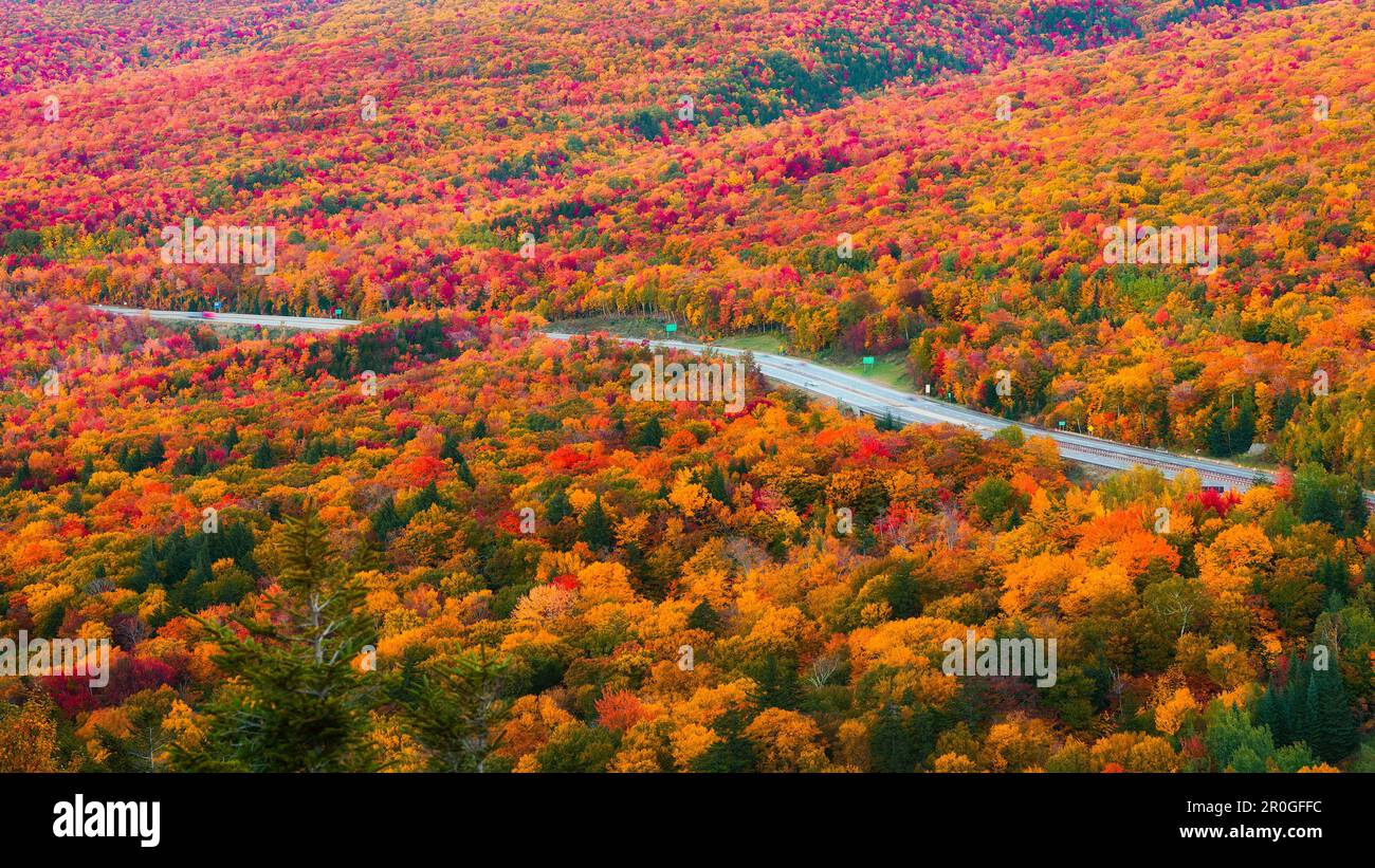 Artist bluff trail hi-res stock photography and images - Alamy