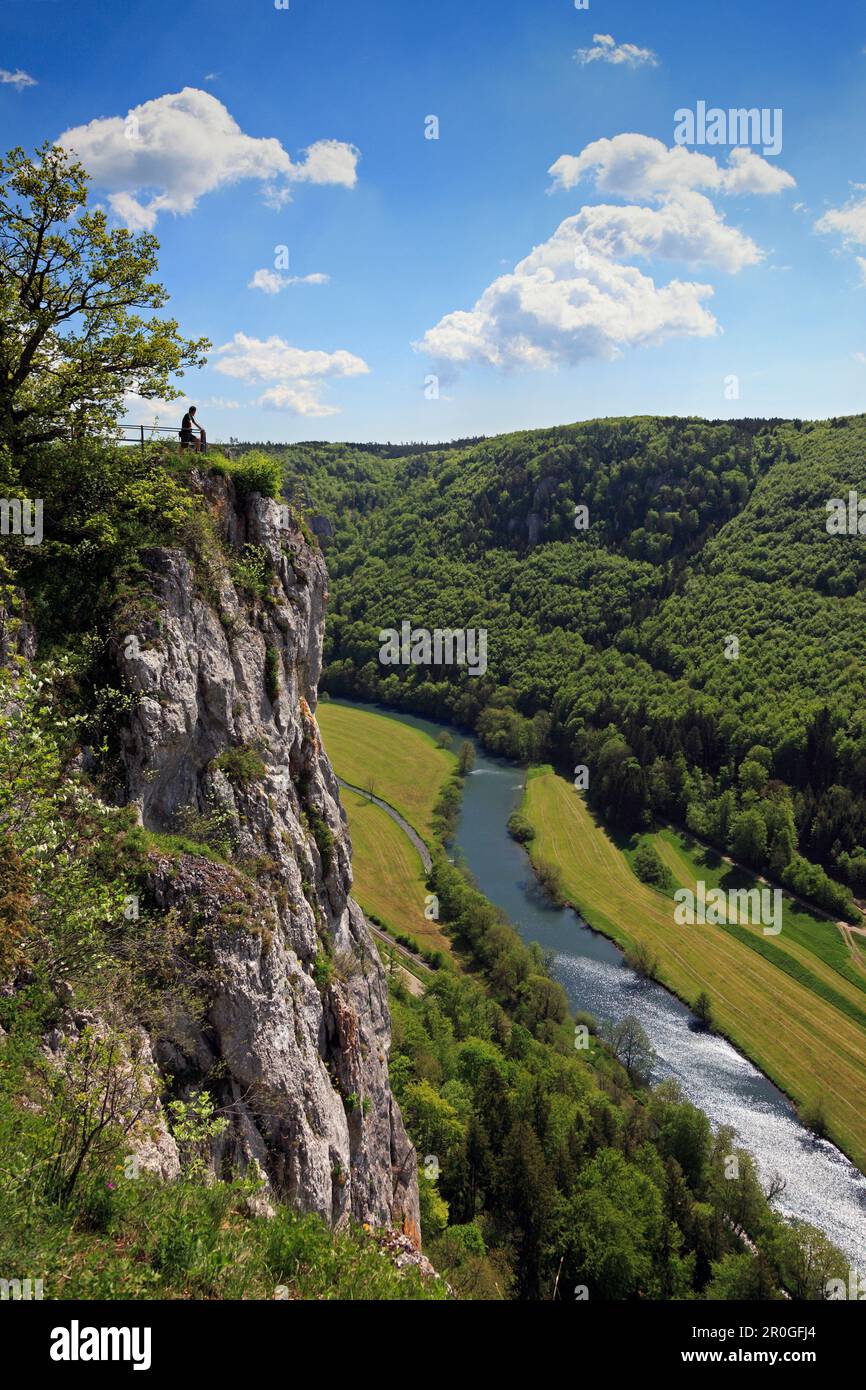 View towards the Eichfelsen rocks above the Danube river, near Beuron ...