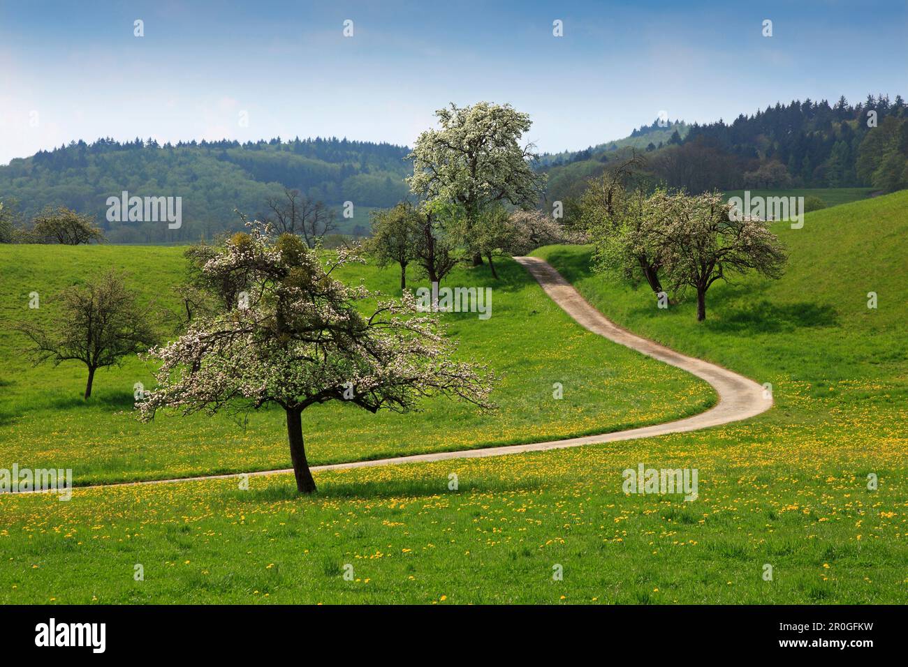 Hessische bergstrasse hi-res stock photography and images - Alamy