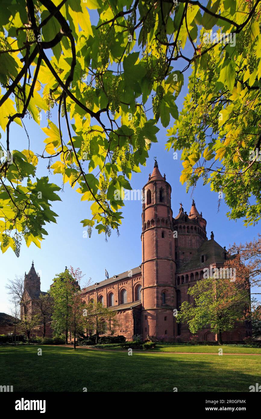 Worms Cathedral, Cathedral of St. Peter, Worms, Rhine, Rhineland ...