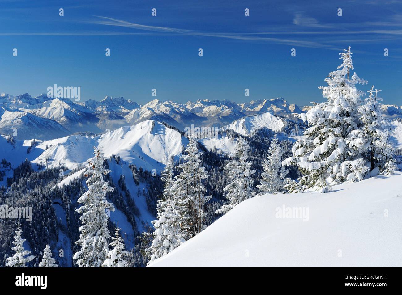 Snow-covered spruces, Bavarian Alps, Karwendel mountain range and ...