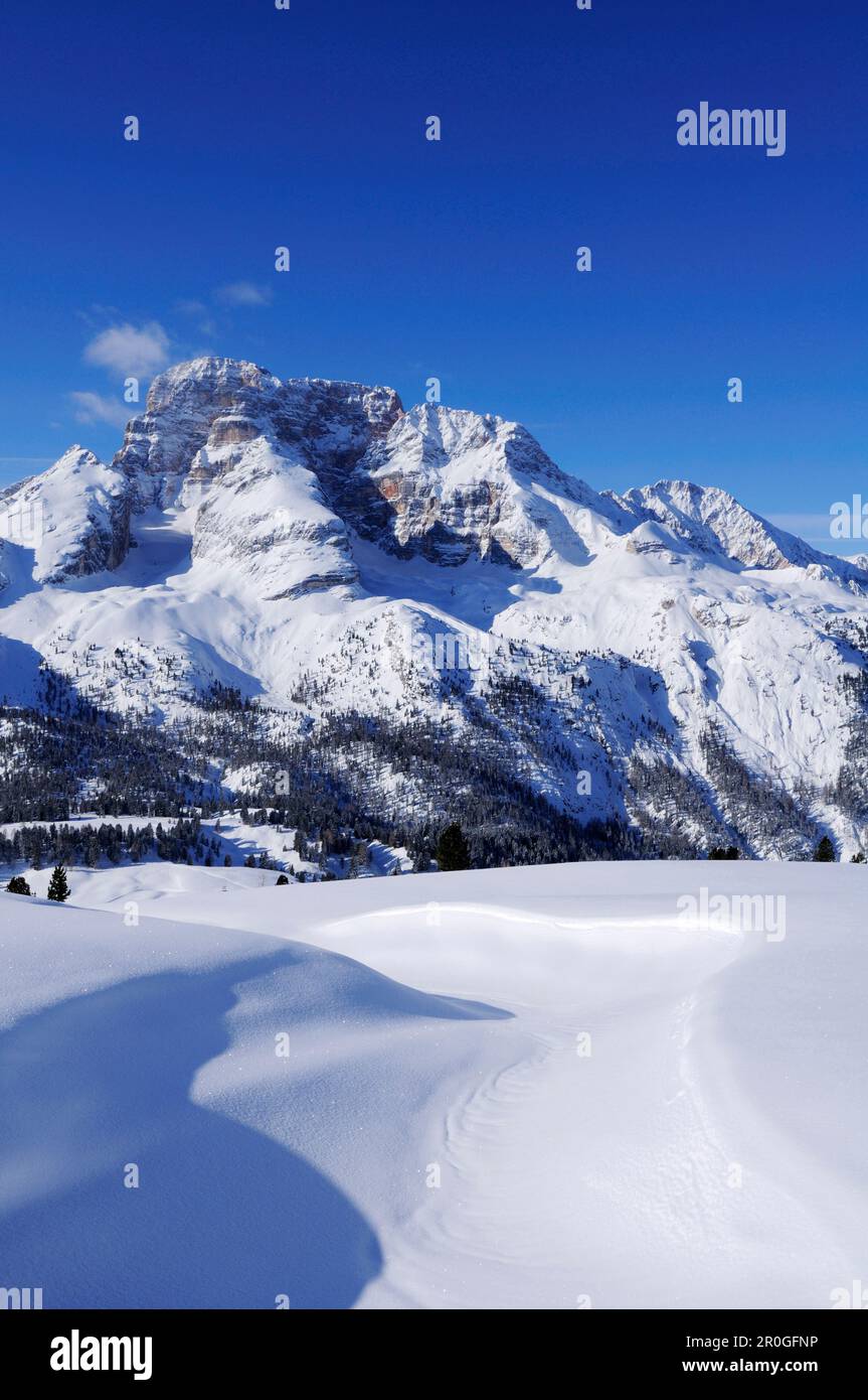 View to Hohe Gaisl, Plaetzwiese, Fanes-Sennes natural park, UNESCO ...