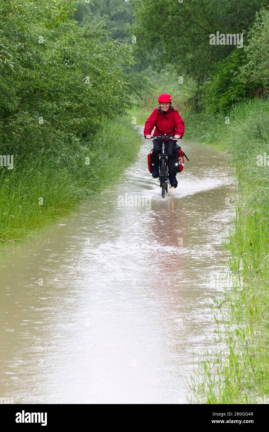 Cyclist passing flooded Isar Cycle Route, near Moosburg, Upper Bavaria ...